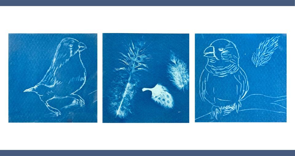 East Vic. Park - Cyanotype Birds & Feathers, Victoria Park Centre for ...