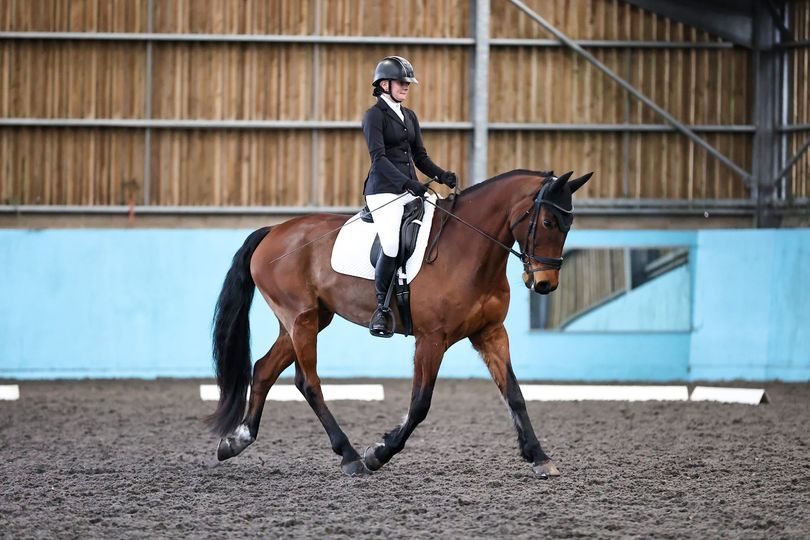 Unaffiliated Dressage, World Horse Welfare Hall Farm, Brandon, November ... Unaffiliated Dressage, World Horse Welfare Hall Farm, Brandon, November ...