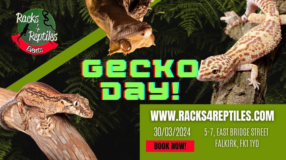 Gecko Day!, 5-7 East Bridge Street, FK1 1yd Falkirk, United Kingdom ...
