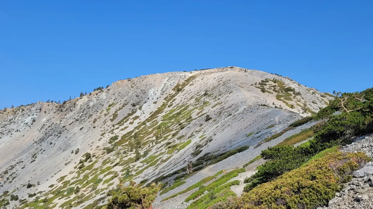 Mount Baldy via Devils Backbone Trail, Mount Baldy trail head, Mt ...