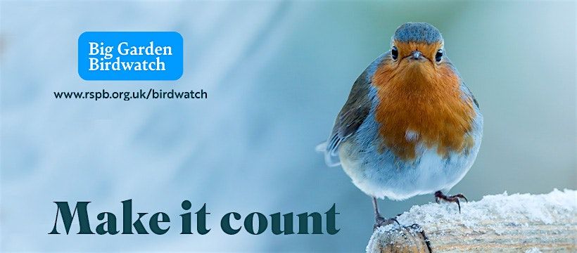 RSPB Big Garden Bird Watch 2026, Global Gardens Project, Cardiff, 24 ...