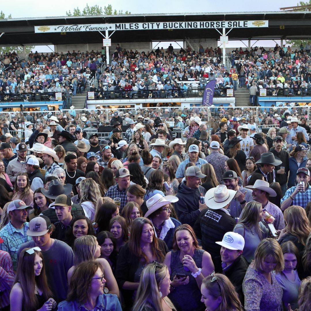 Miles City Bucking Horse Sale - Sunday, Eastern Montana Fairgrounds ...
