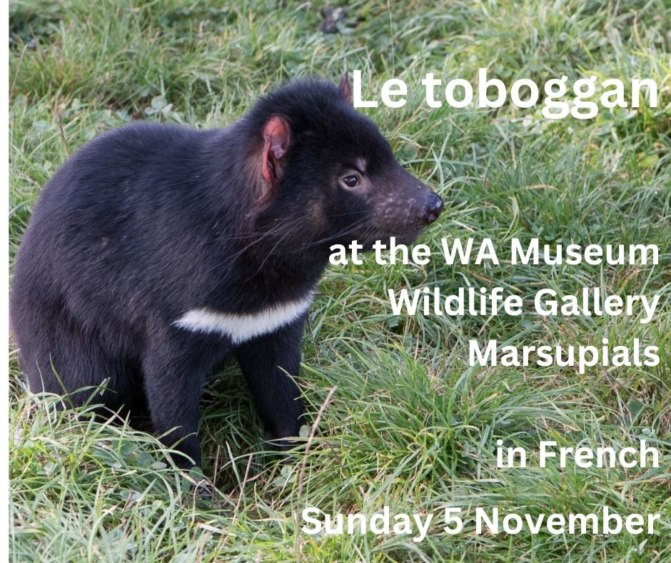 Museum tour in Spanish- Wildlife: Marsupials, WA Museum Boola Bardip ...