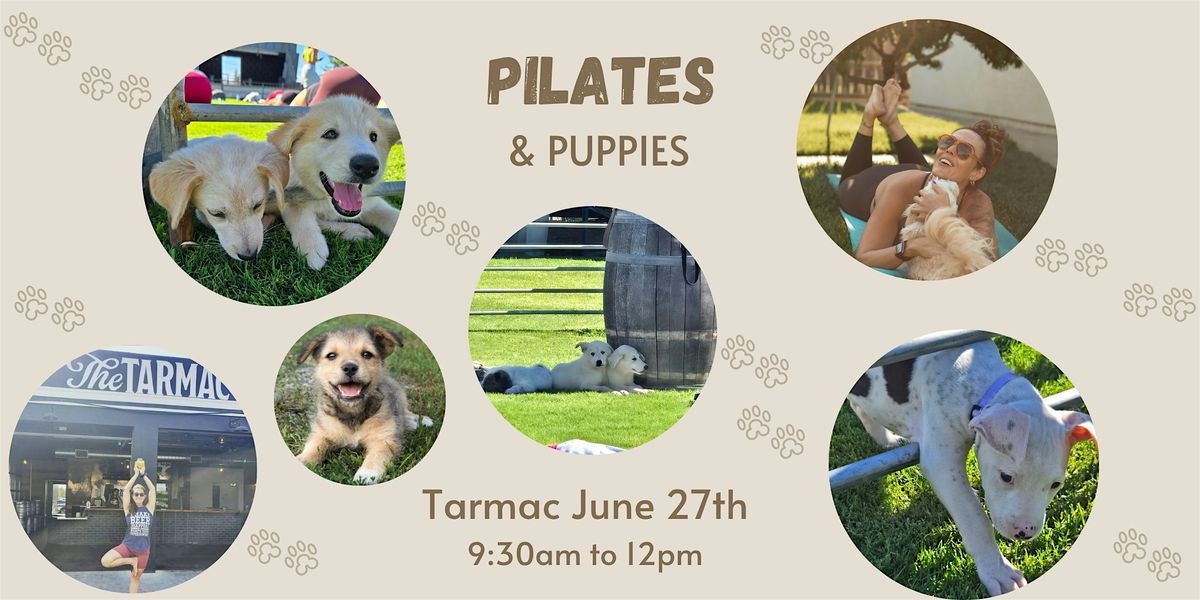 Pilates & Puppies, The Tarmac, Atwater, 27 June 2026 | AllEvents