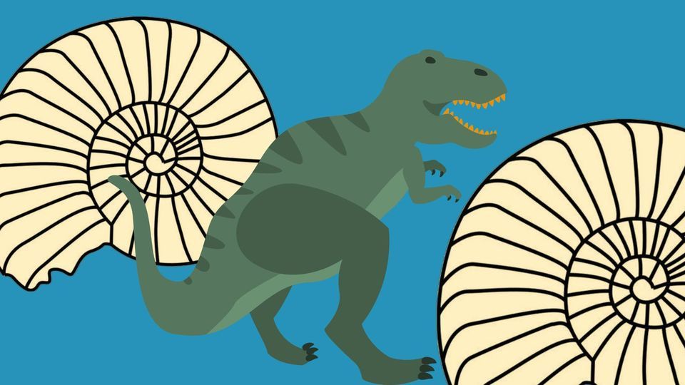 Dinosaur & Fossil Family Crafts, Land of Iron, Saltburn-by-the-sea, 13 ...