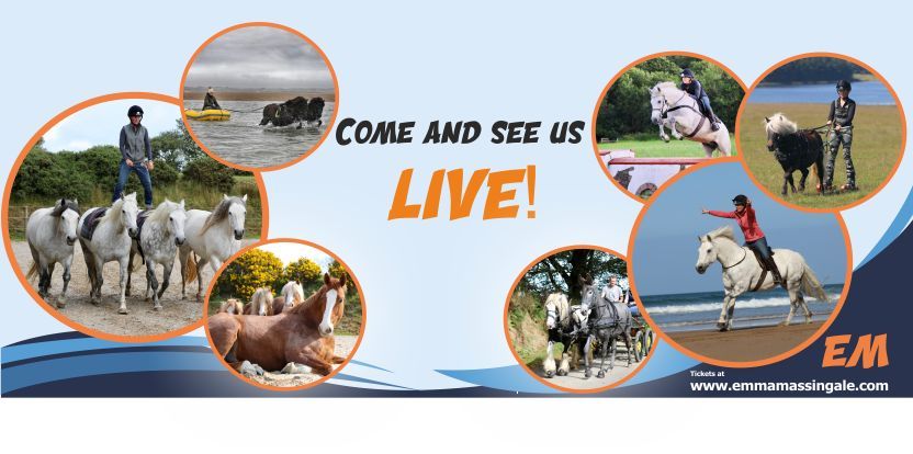 The Adventures of Horse Training with Emma Massingale, ARENA UK SHOW ...