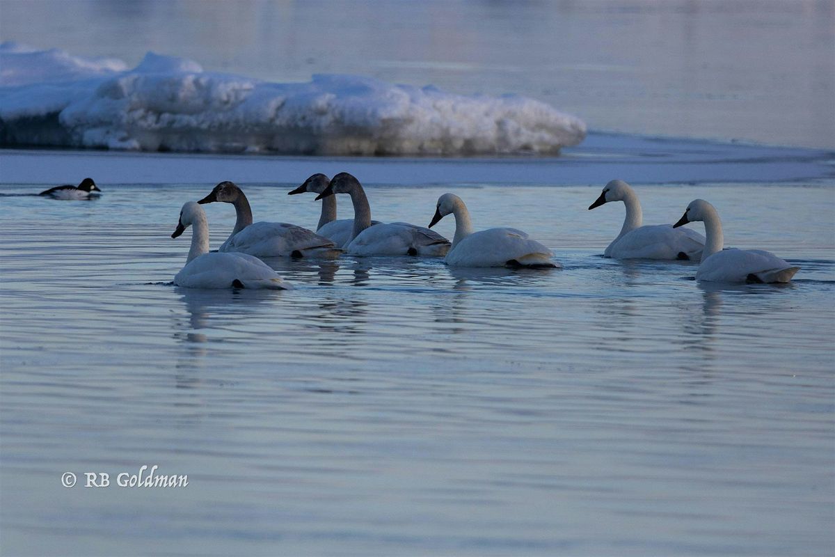 LGBTQ+ and Allies Sunset Walk, Beaver Island State Park, Grand Island ...