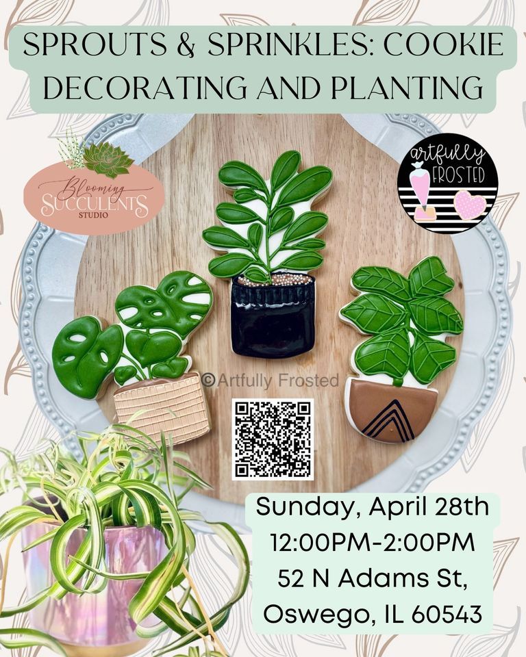 Sprouts & Sprinkles Cookie Decorating and Planting, Blooming Succulents ...