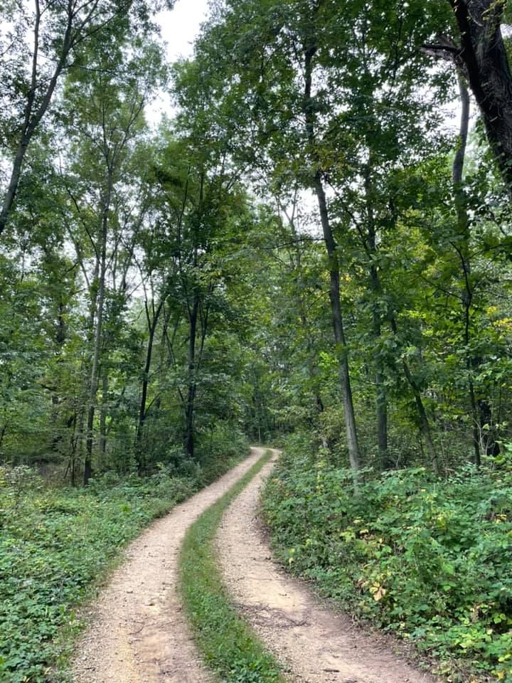 Natural Path Sanctuary Walking Tour , Natural Path Sanctuary, Middleton ...
