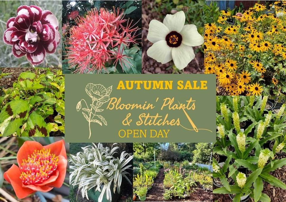 Bloomin Plants and Stitches Autumn Sale Open Day - Saturday 23 March ...