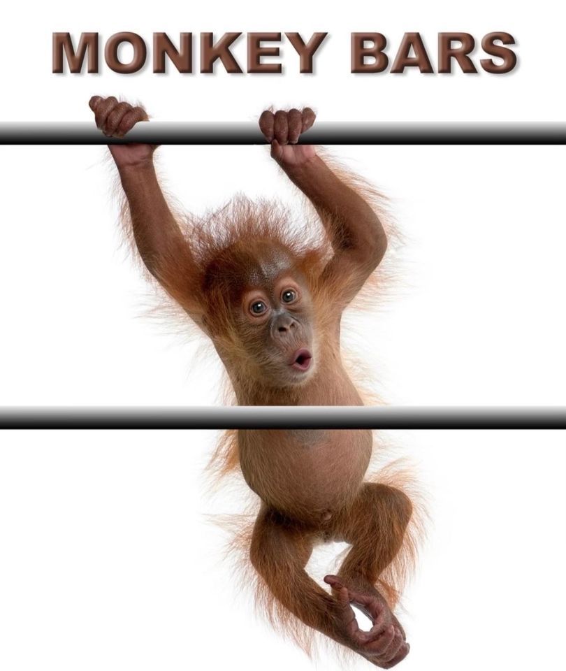 Monkey Bars at Puck Live by Great Barn , Puck Live, Doylestown, April 6 ...