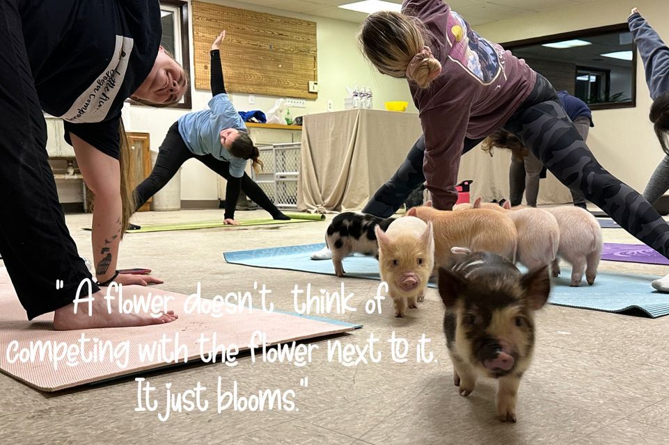 Barnyard Yoga (Full), 4402 State Route 981 Avonmore, PA 15618, 6 March ...