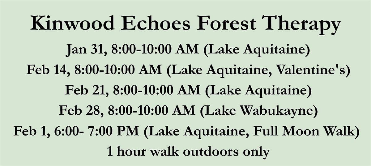 Winter Forest Therapy Walk | Slow Down, Breathe, and Reconnect, Lake ...