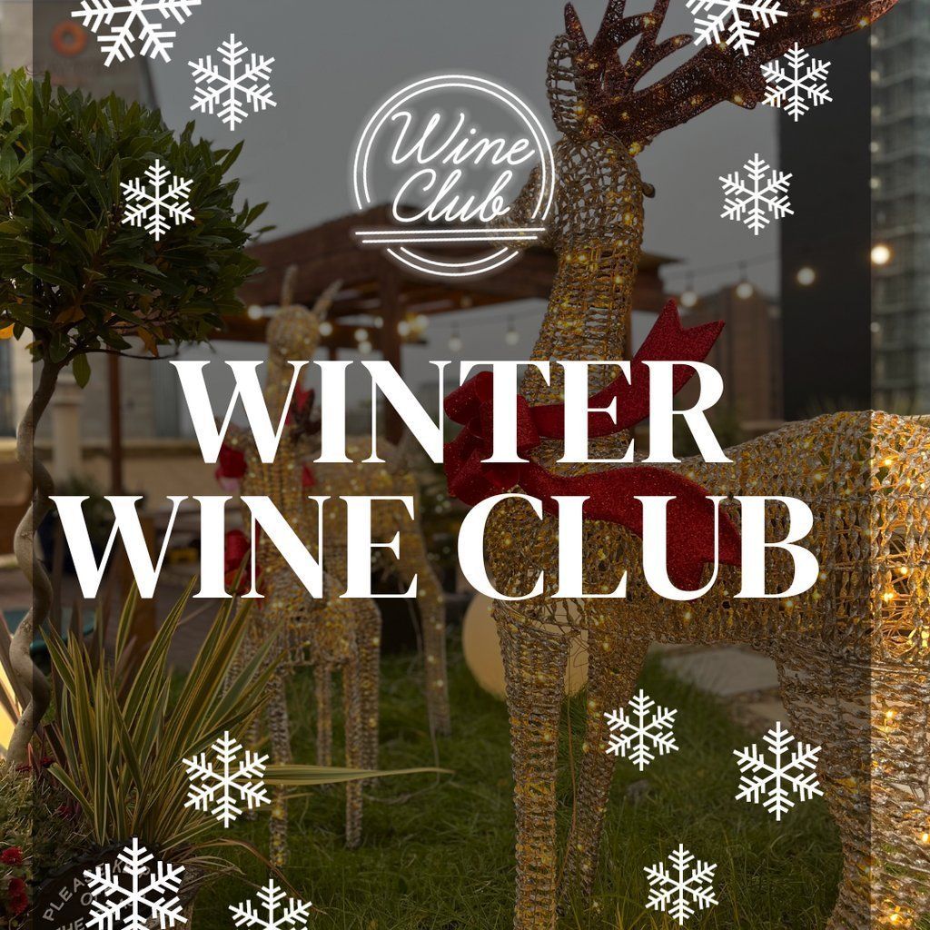 The Winter Roof Garden!, Jacobs Roof Garden, Cardiff, 8 December 2023 ...