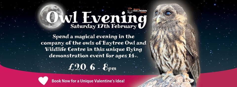 Owl Evening, Baytree Owl and Wildlife Centre, Spalding, 17 February ...