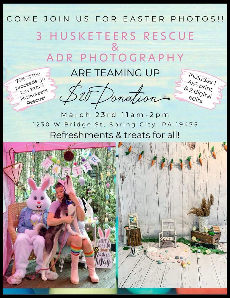 2nd Annual Bunny Bash ??, 1230 W Bridge Street, Spring City, PA, 23 ...