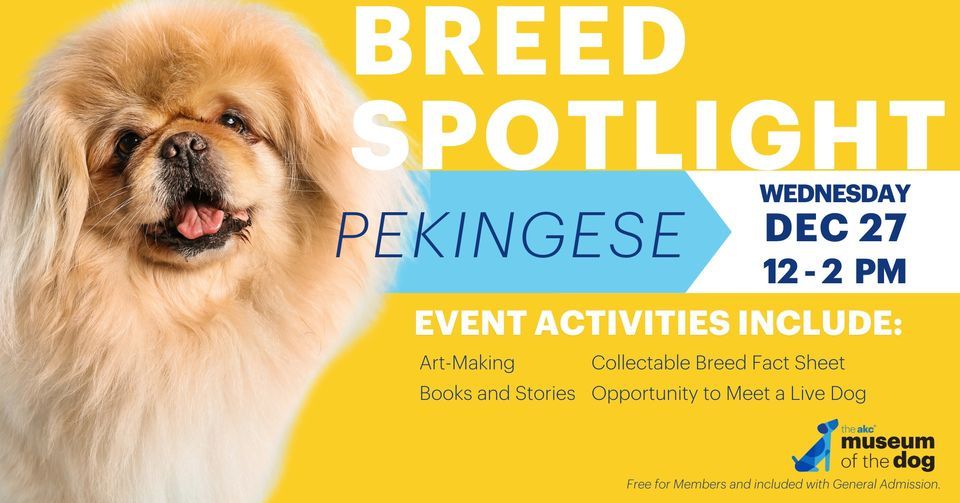 Breed Spotlight: Pekingese, The American Kennel Club Museum of the Dog ...