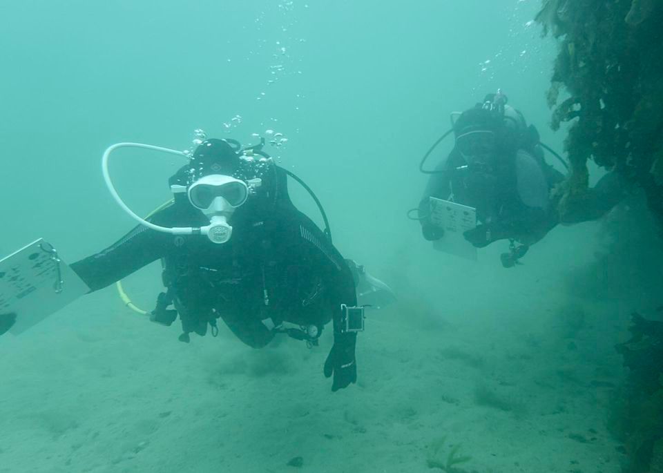 Great Victorian Fish Count , Portsea Pier, Ocean Grove, 10 December ...
