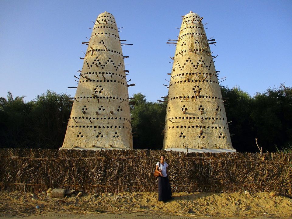 Hima in the House: Avian Architecture Across the Islamic World ...