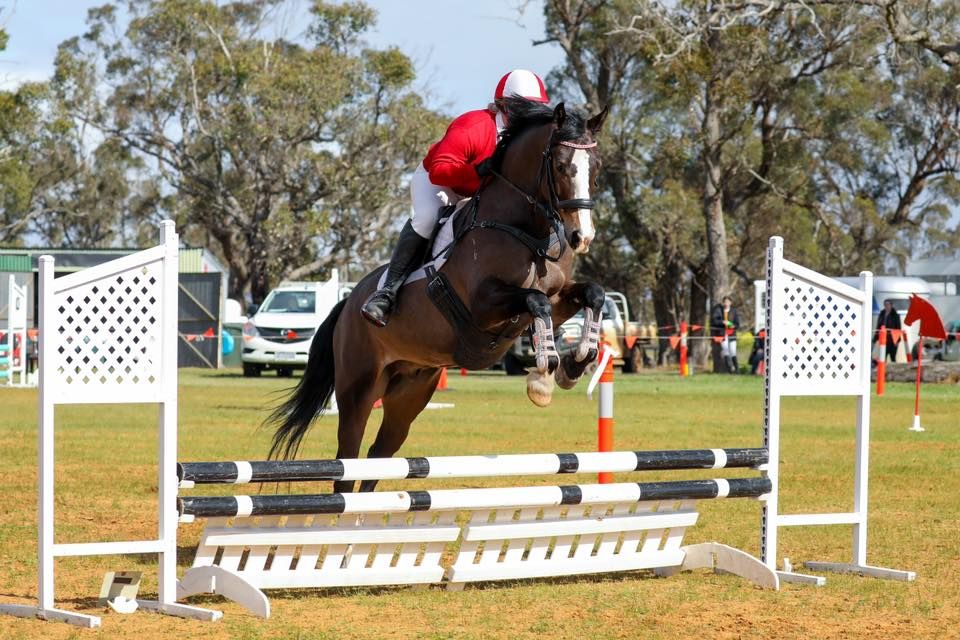 Barbara Coppin Memorial Show Jump Day, 832 Martagallup - Tenterden road ...