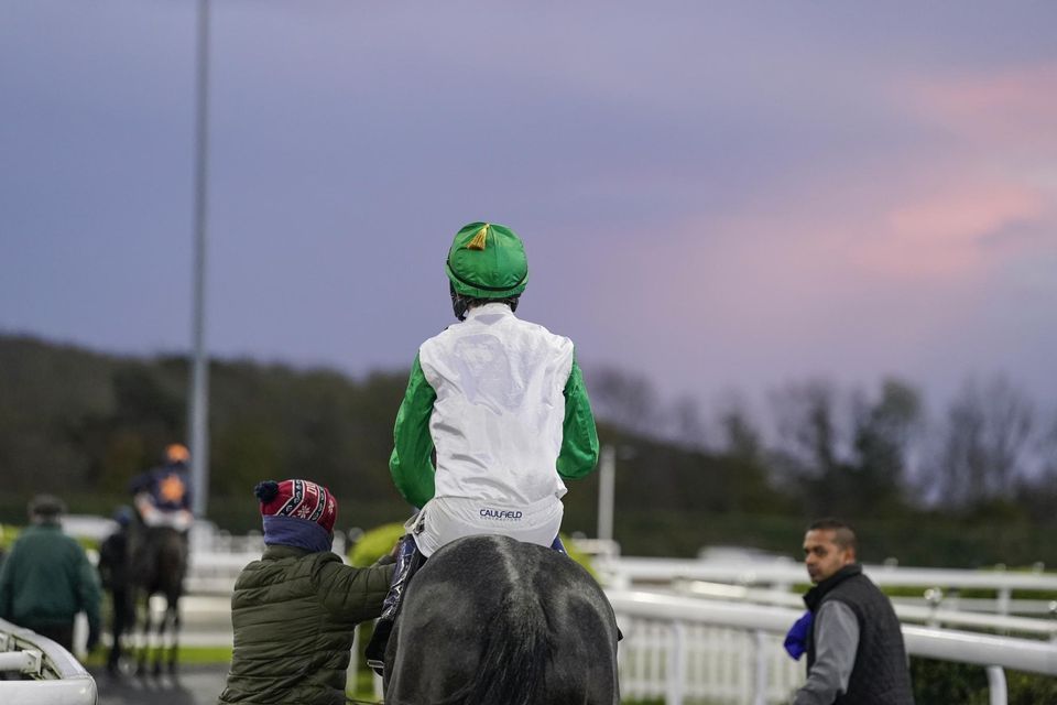 Evening Racing, Chelmsford City Racecourse, Dunmow, November 21 2023 ...