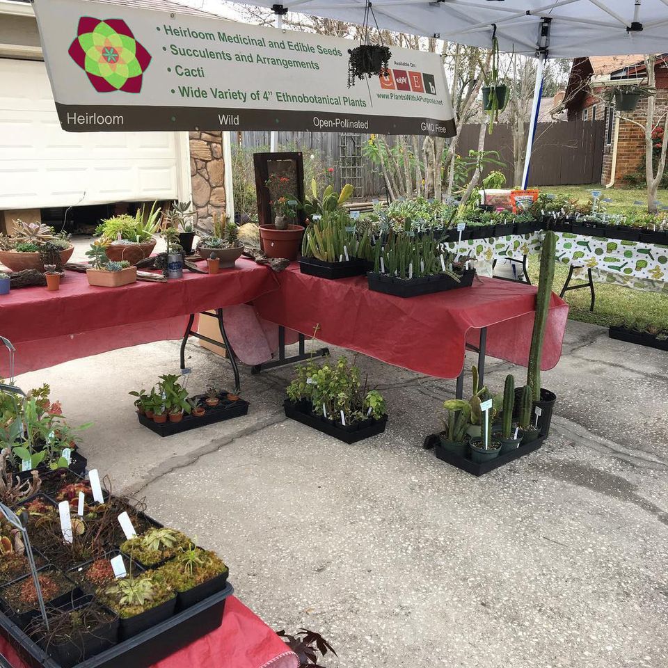 Garden Sale At Pachyfolia Plants, 10400 Indian Walk Rd, Jacksonville ...