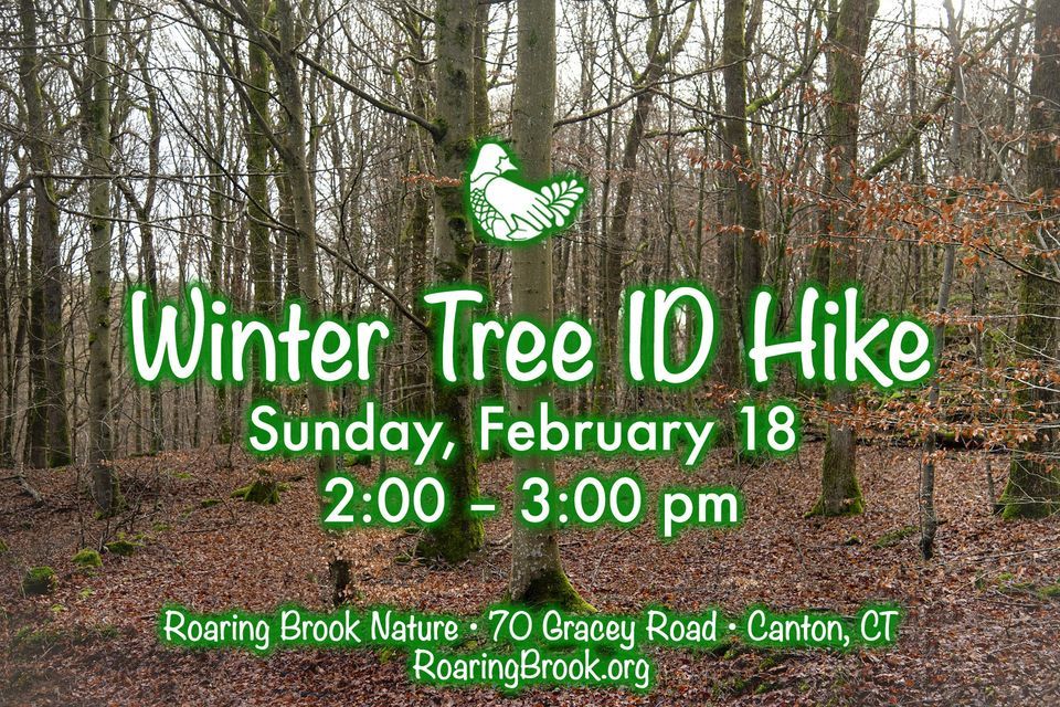 Winter Tree ID Hike, Roaring Brook Nature Center, Canton, February 18 2024 | AllEvents.in