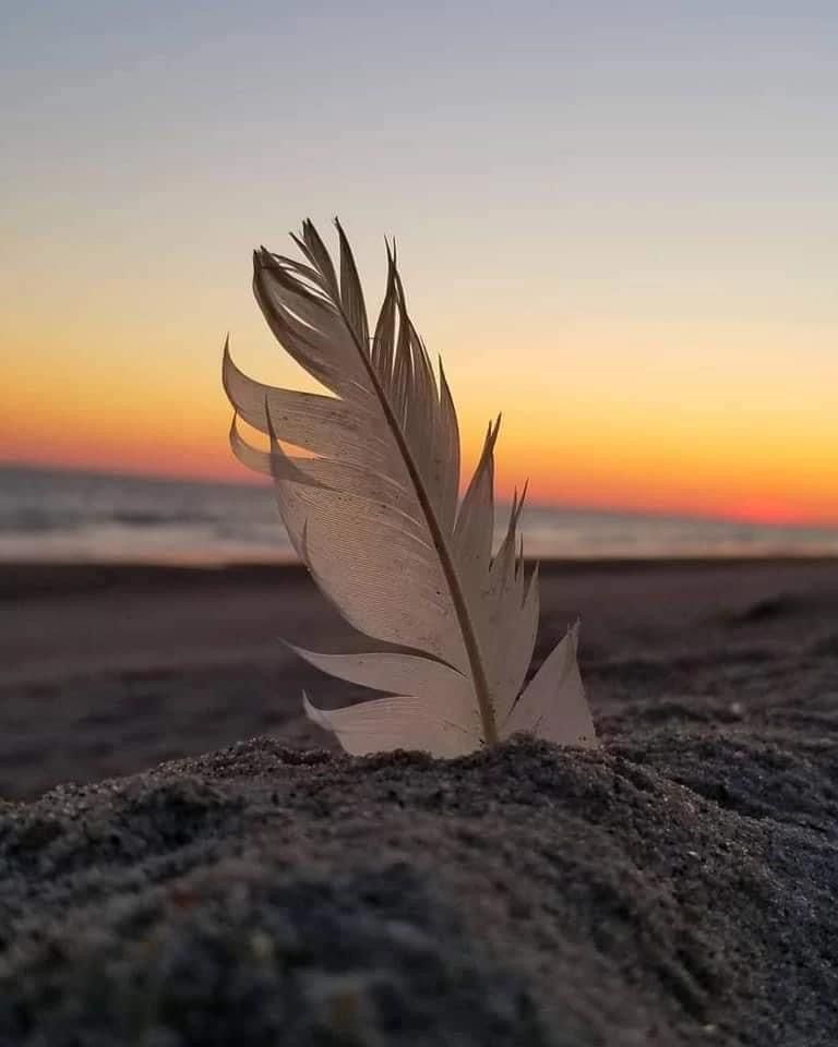 Composition Re-Boot, Holden Beach, NC, April 20 to April 27 | AllEvents.in