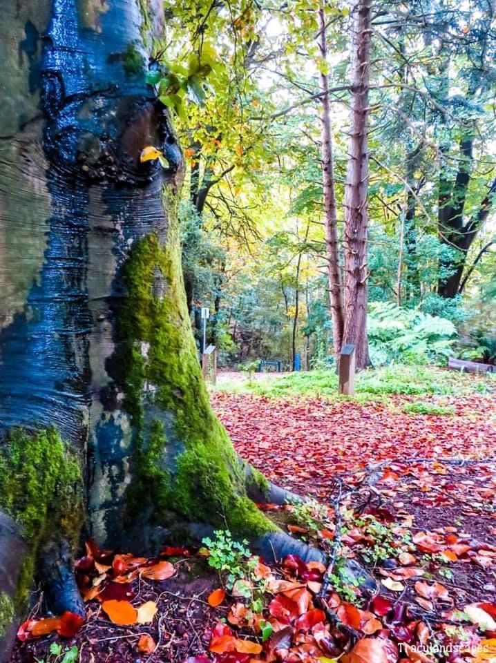 Autumn Equinox Seasonal Gathering VIC, 25 Donaldson Road Kangaroo ...