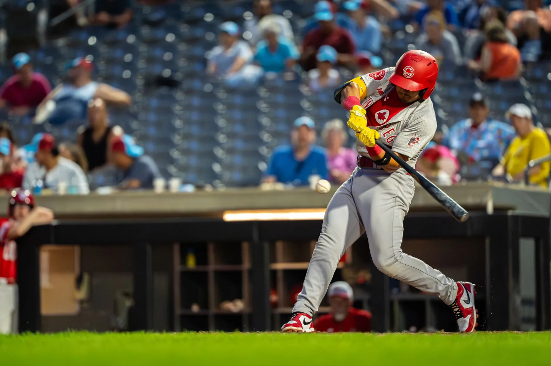 Chicago Dogs at Winnipeg Goldeyes at Blue Cross Park, Blue Cross Park ...