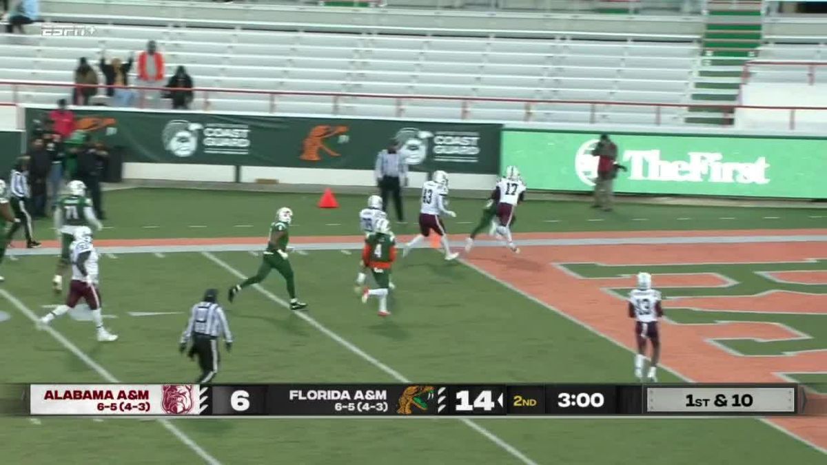 Alabama A&M University Bulldogs at Florida A&M Rattlers Womens ...