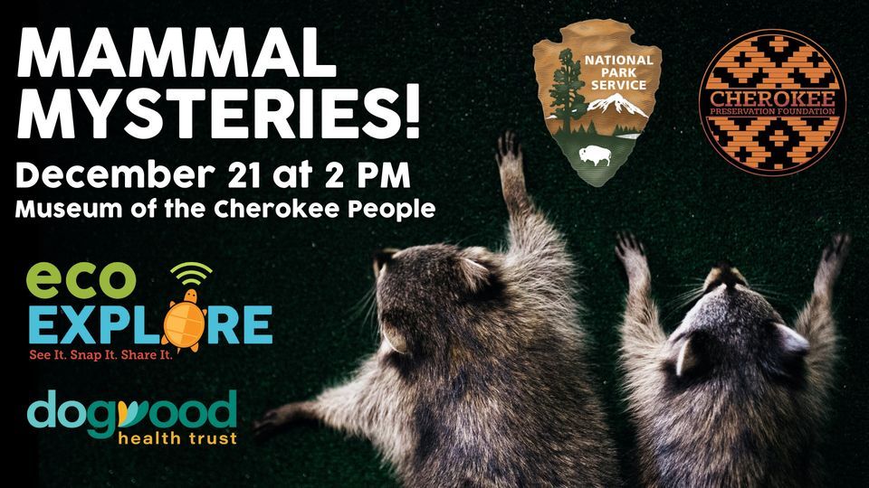 Mammal Mysteries!, The Museum of the Cherokee People, December 21 2023 ...