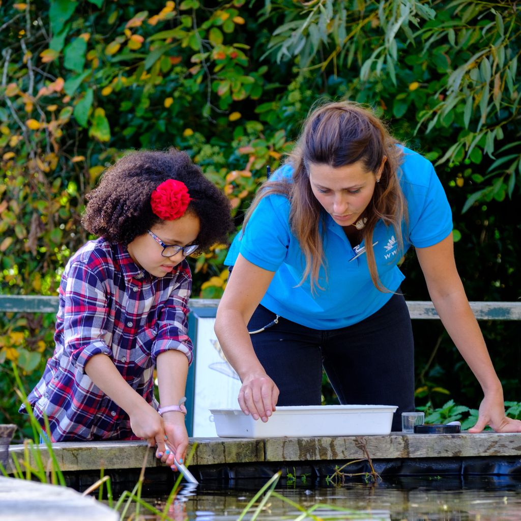 Autism and Sensory Needs Friendly Pond Dipping , WWT London Wetland ...