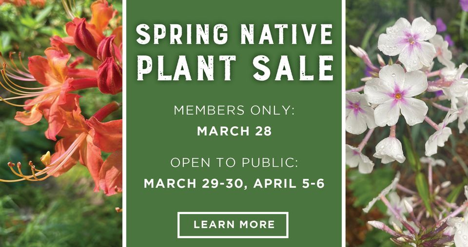 Spring Native Plant Sale, 9135 Willeo Road, Roswell, GA, United States ...