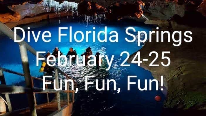 Florida Springs Diving, Devil's Den Prehistoric Spring, Williston, 24 ...