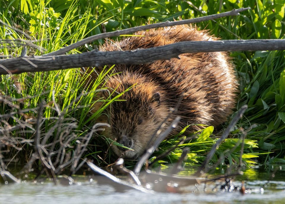 Wetland Trivia Night Series - Third Tuesdays at Lockhorn, Lockhorn ...