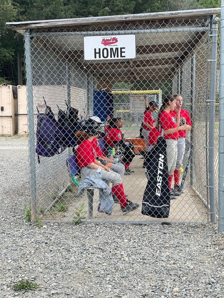 2024 Softball Tryouts AAA/Majors Divisions, Federal Way National Little ...