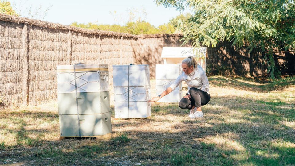 Bee Farm Tour: Beekeeping 101, The House of Honey & The Sticky Spoon ...
