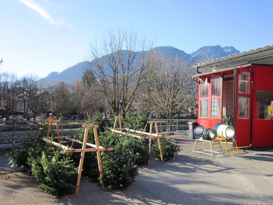 Christbaumverkauf bei der HFW Bad Ischl, Feuerwehren aus Bad Ischl ...