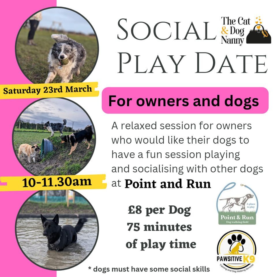 charity social , Point & Run Dog Walking Field, Highbridge, March 23 ...