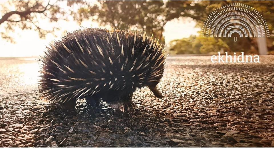 Fleurieu LETS Market, Ekhidna Kitchen And Winery, Mclaren Vale, 30 ...