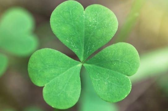 Saint Patricks Day gig, Deerpath Restaurant Inc, New Berlin, 17 March ...