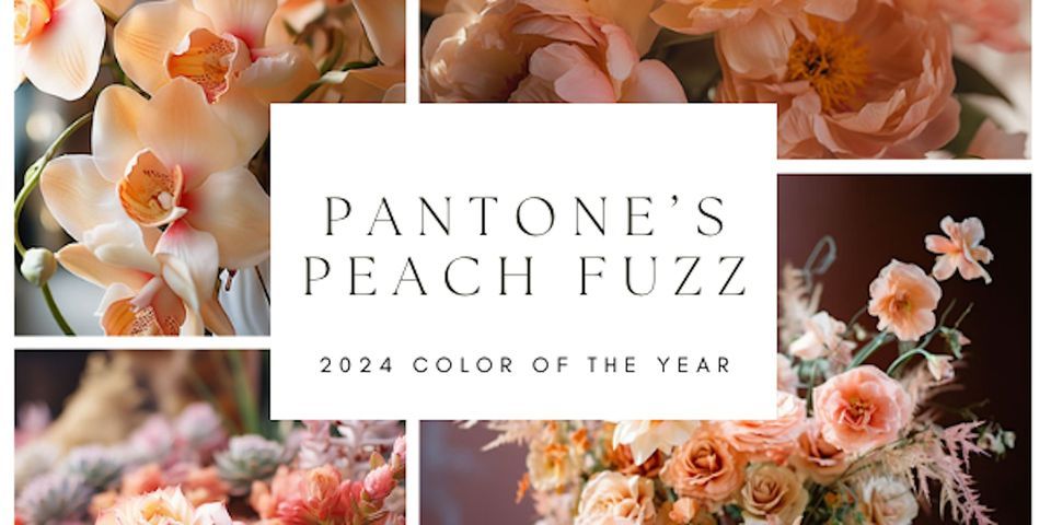 Floral Workshop: Pantone Color of the Year: Peach Fuzz, 4268 Belair ...