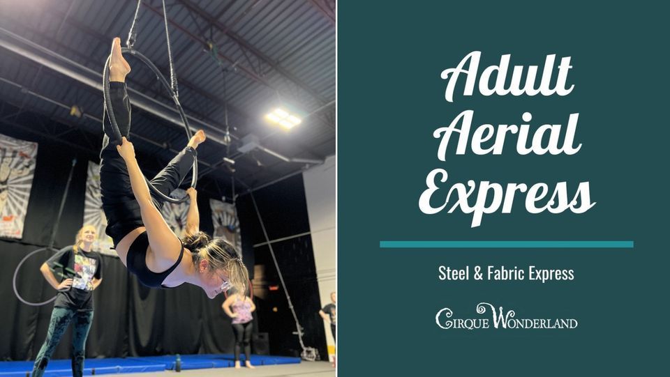 Adult Aerial FUNdamentals Express, Cirque Wonderland Studios, West Des ...