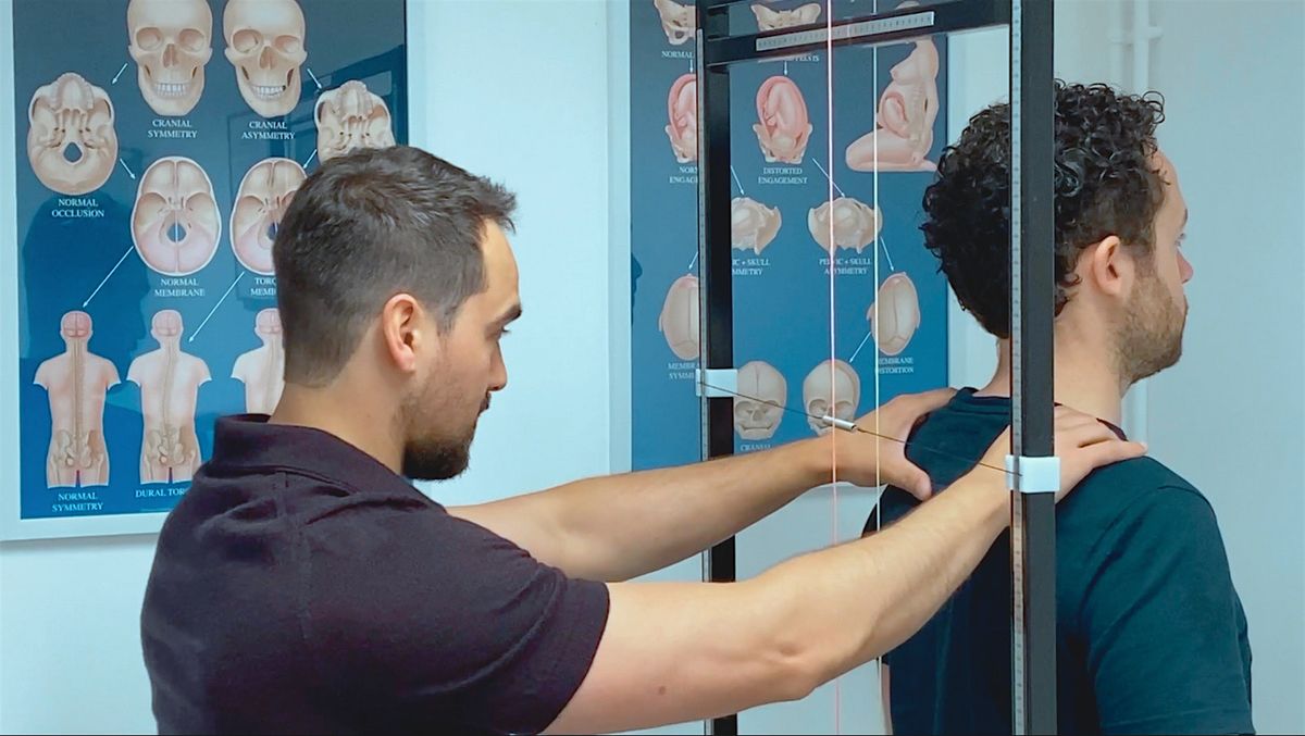 FREE Spinal Health & Posture Checks at Innate Health Chiropractic ...