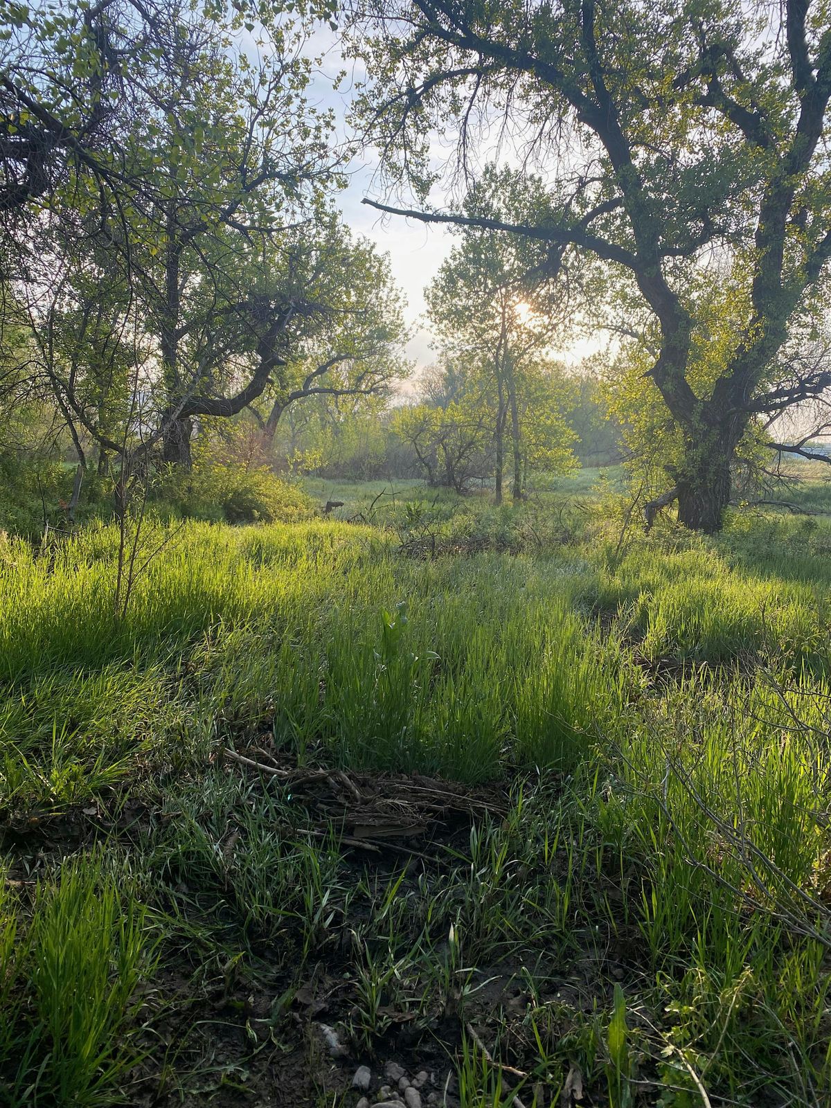 Writing Spring: A Generative Workshop with A. Manette Ansay, 129 N ...