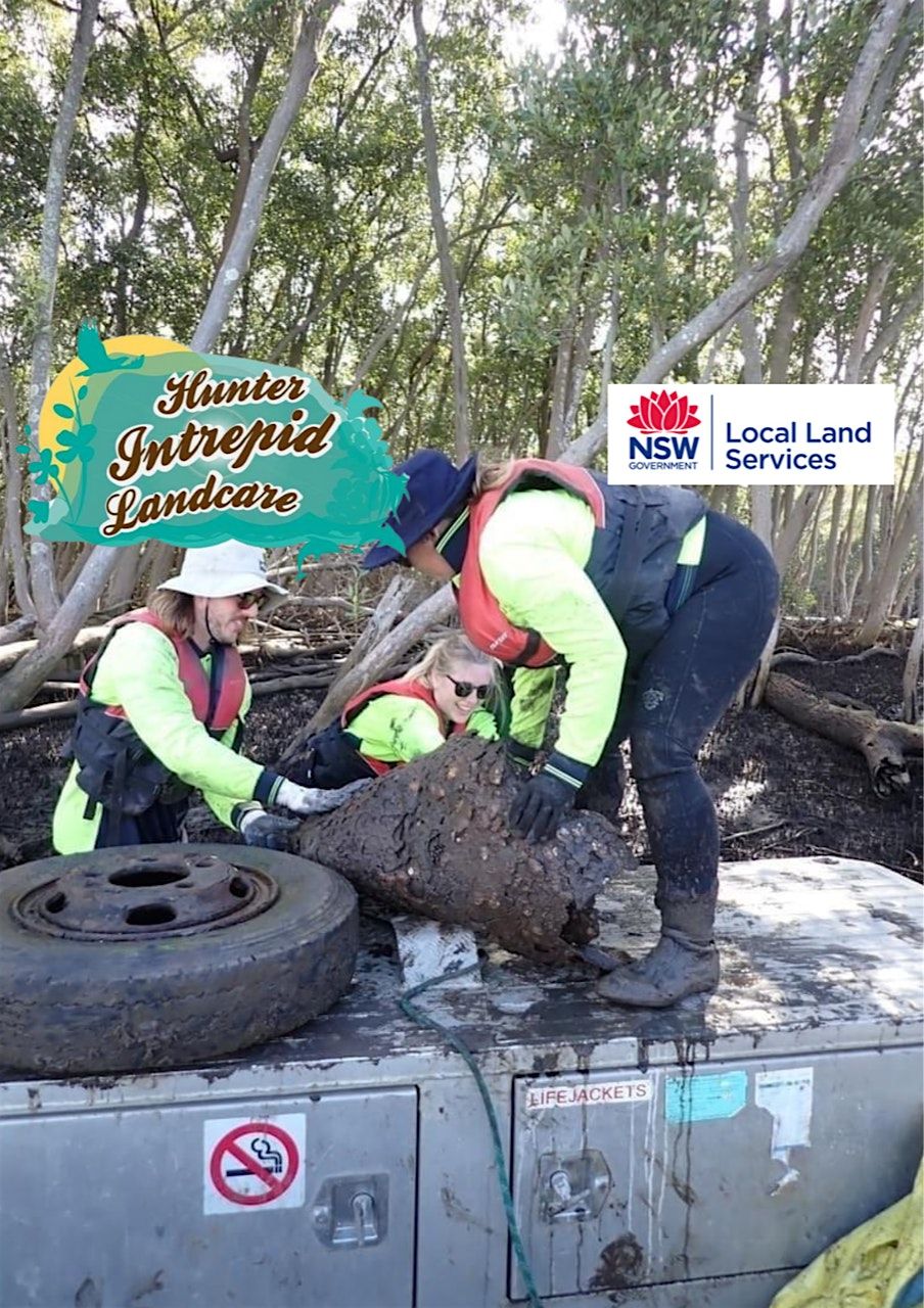 Hunter River Marine Debris Removal, Tomago Boat Ramp, 1 June 2024 ...