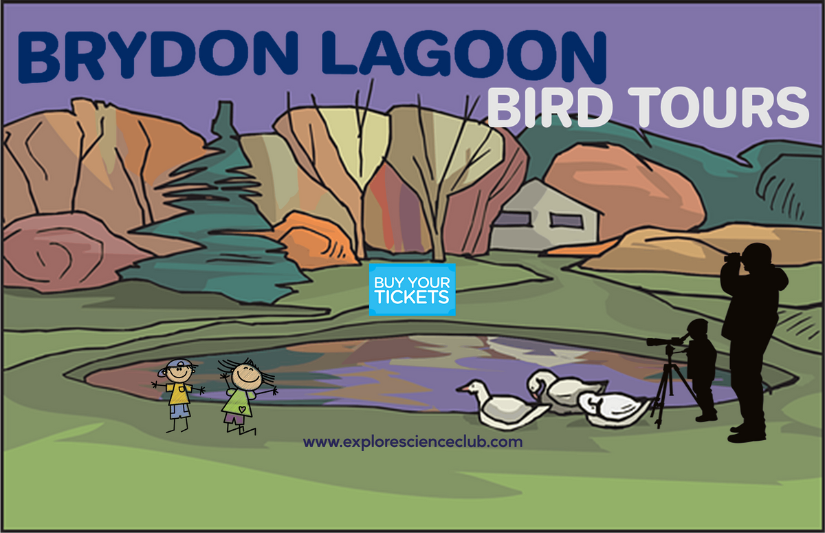 March Break- Bird Tour of Brydon Lagoon, Brydon Lagoon, Langley, 23 ...