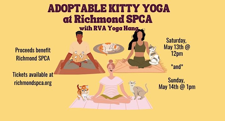 RVA Yoga Hang at Richmond SPCA with Adoptable Kittens!, Richmond SPCA ...
