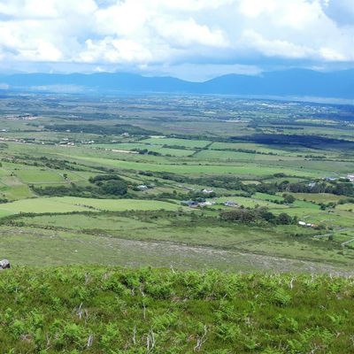 ACRES New Farm Advisor Scorecard training, V31 DA36, Lyracrumpane, 4 ...